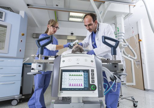 Stephan EVE Ventilator | Mr First Aid
