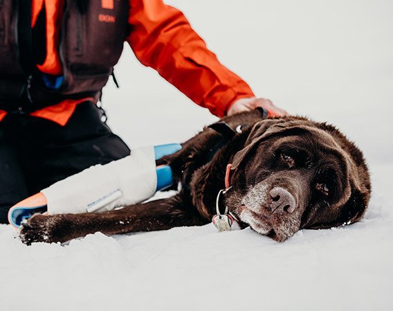SAM (Bendable) Splints | Mr First Aid